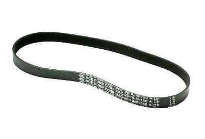 Ace Pumps 31 inch Poly V 10 Groove Belt fits PTOC-1000 - BAC-28-10-M ...