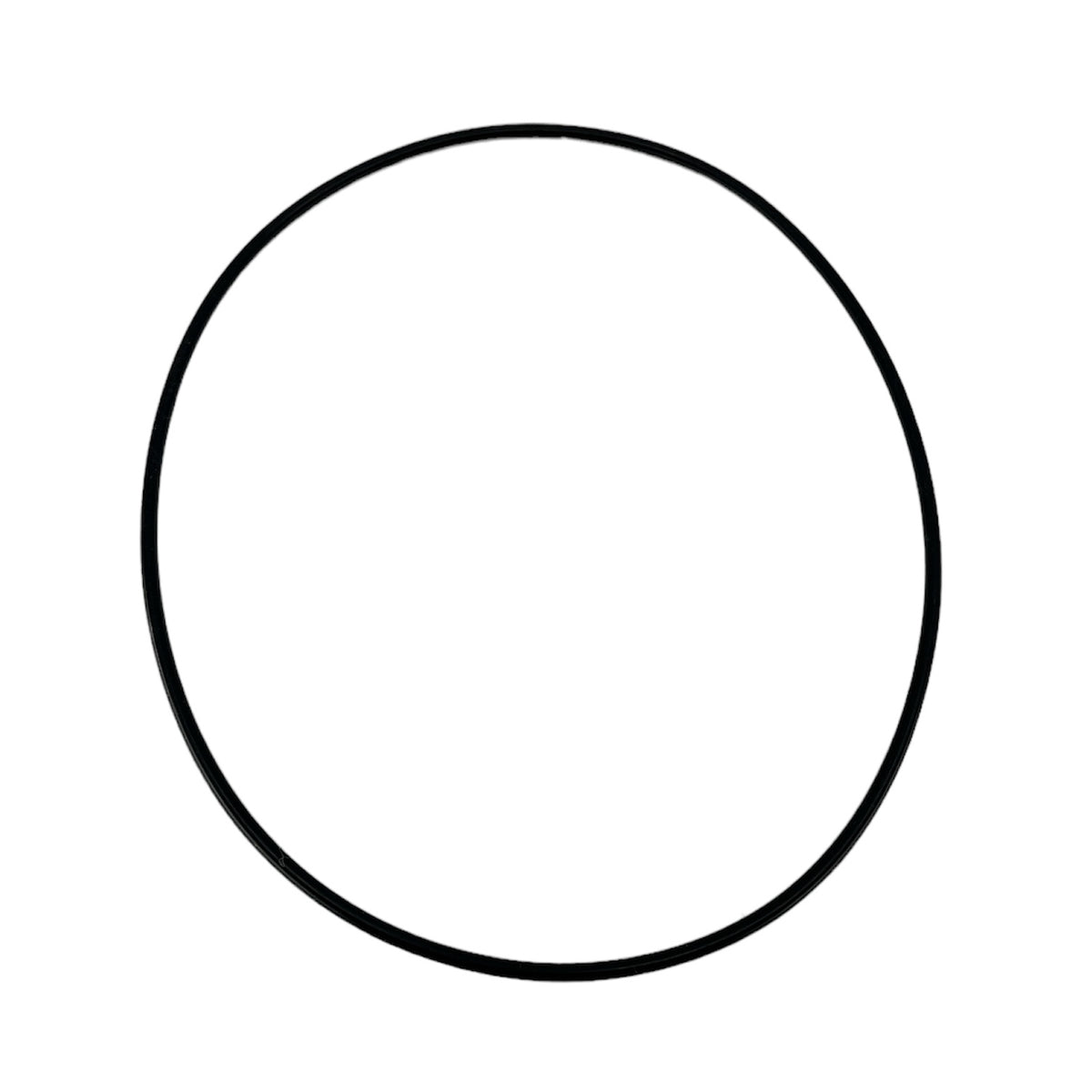 Ace Pumps Body Seal O-Ring for BAC-12 Volute - BAC-4A (40005) – Simpson ...