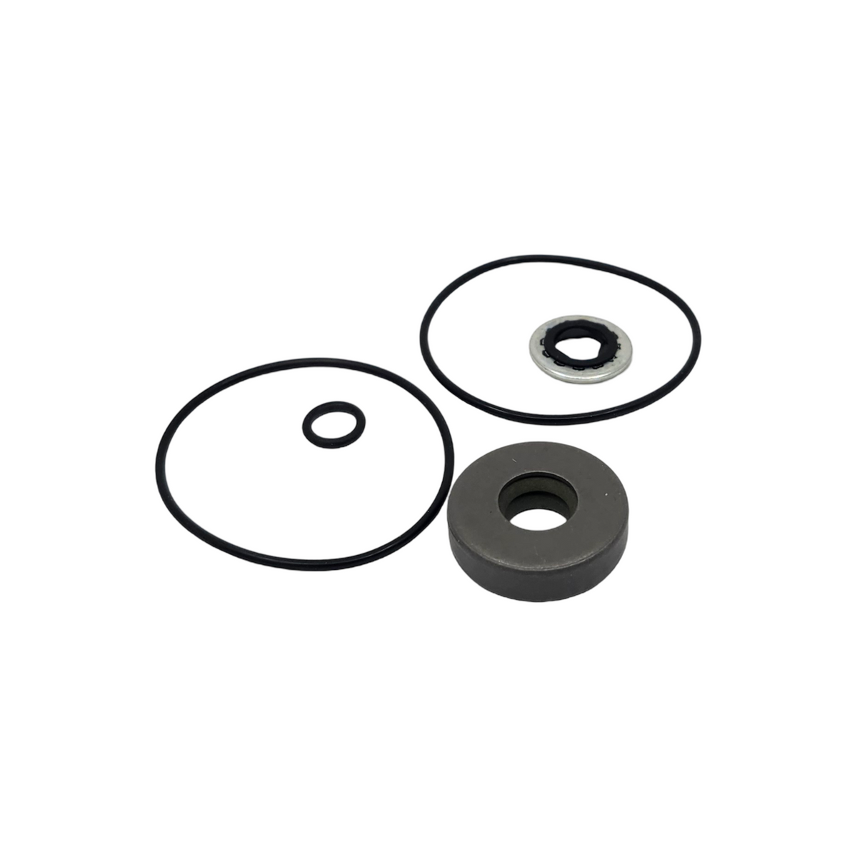 Ace Pumps Repair Kit for 200 Series Motors - RK-BAC-75-HYD-L (41374 ...